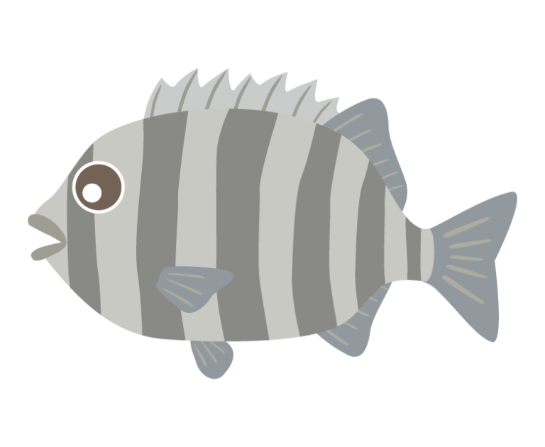 魚 のタグのイラスト | 無料のフリー素材 イラストエイト