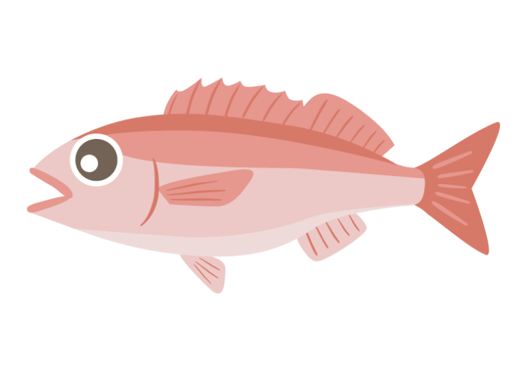 アカムツ／ノドグロのイラスト | 無料のフリー素材 イラストエイト